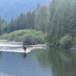 E Bike Tour in Glacier National Park Cammas Road - Who Should Consider This Tour?