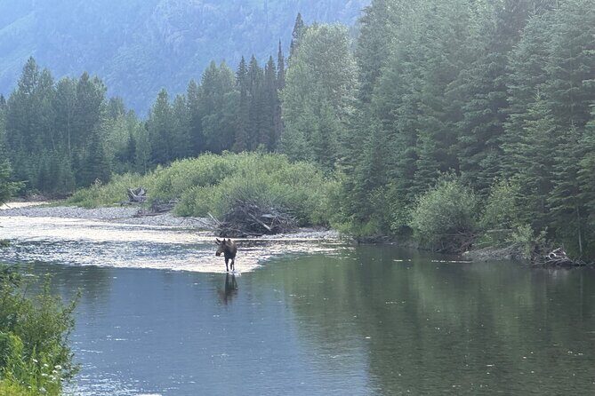 E Bike Tour in Glacier National Park Cammas Road - Who Should Consider This Tour?