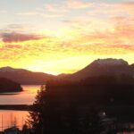 Ear Mountain Charters tours: whale watching or fishing - Practicalities and Value