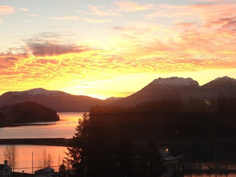 Ear Mountain Charters tours: whale watching or fishing - Practicalities and Value