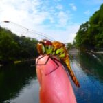 Early Morning Premium Private Clear-Bottom Kayak Tour - The Magic of the Caldera Lake