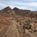 East Grand Canyon: Off-Road Tour With Picnic At The Rim - The Spectacular Views at the East Rim