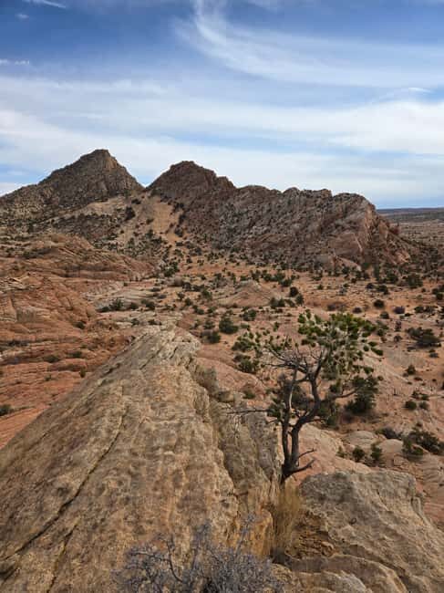 East Grand Canyon: Off-Road Tour With Picnic At The Rim - The Spectacular Views at the East Rim