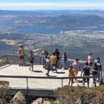 Easy Bike Tour - Mt Wellington Summit Descent & Rainforest Ride - A Guide to the Experience