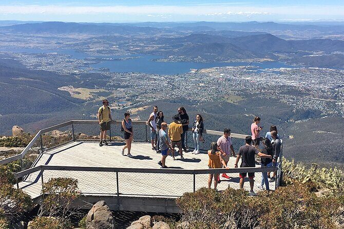 Easy Bike Tour - Mt Wellington Summit Descent & Rainforest Ride - A Guide to the Experience