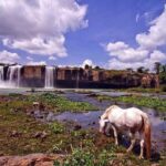 Easy Riders Buon Ma Thuot - Daily Tour. - Who Should Book This Tour?