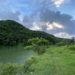 Easy Walk to Visit Kedareshwor Mahadev Temple and Natural Parks - Who Should Consider This Tour?