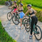eBike Ubud Rice Terraces and Traditional Villages Cycling - What to Expect on this Tour