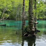ECO adventure to Cypress Springs by Paddle Board or Kayak - Group Size and Booking