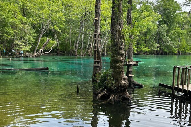 ECO adventure to Cypress Springs by Paddle Board or Kayak - Group Size and Booking