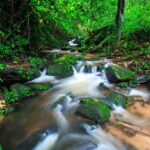 Eco-Friendly: Doi Inthanon & Pha Dok Siew Trekking Day Trip - What You Should Know Before Booking