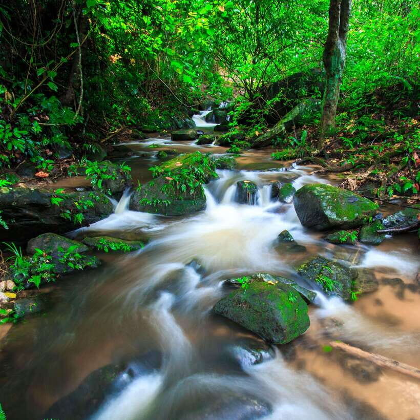 Eco-Friendly: Doi Inthanon & Pha Dok Siew Trekking Day Trip - What You Should Know Before Booking