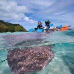 Eco guided excursion to the lagoon of Moorea in a transparent kayak Afternoon 2h - What to Expect During Your Tour