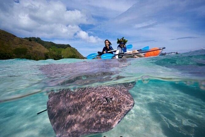 Eco guided excursion to the lagoon of Moorea in a transparent kayak Afternoon 2h - What to Expect During Your Tour