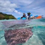 Eco guided excursion to the lagoon of Moorea in transparent kayak 1/2 day morning - The Experience: Why It Resonates