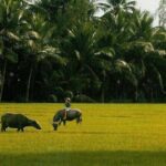 Eco tour and Cooking Class - Final Thoughts: Is It Worth It?
