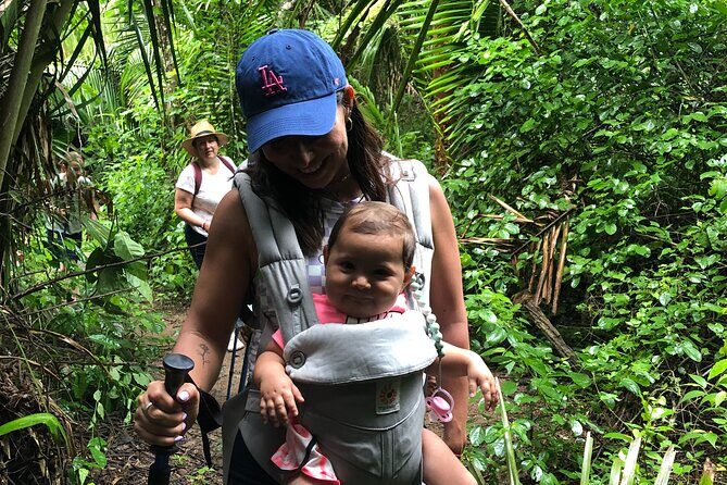 EcoHike experience through the jungle, mountains and hidden beach - What to Expect During the EcoHike Adventure