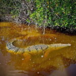 ECOSAFARI - The Mayan Clay Bath: A Cultural and Natural Treat