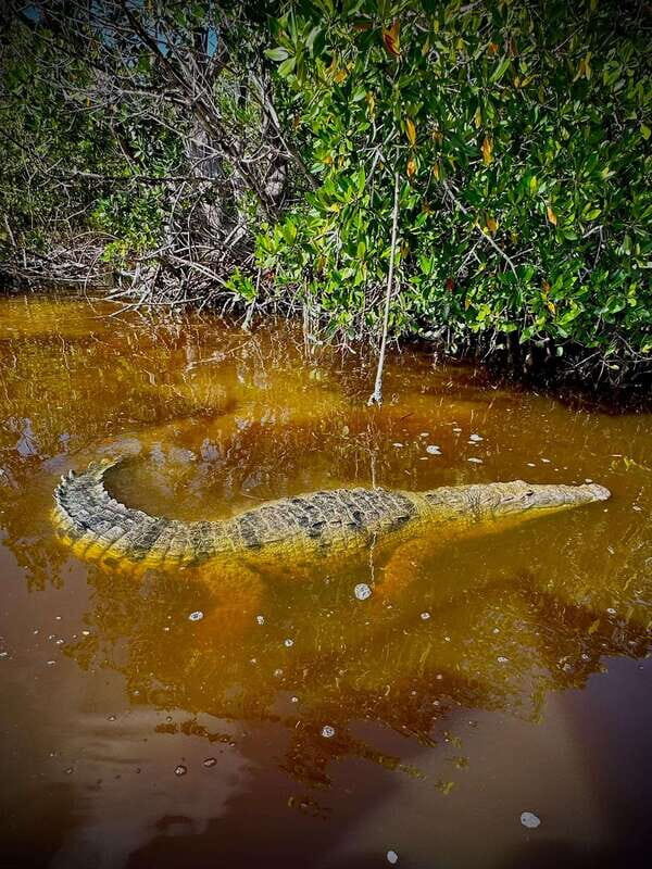 ECOSAFARI - The Mayan Clay Bath: A Cultural and Natural Treat