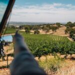 EcoVine Explorer Vineyard E-Cart Tours - Who Is This Tour Best For?