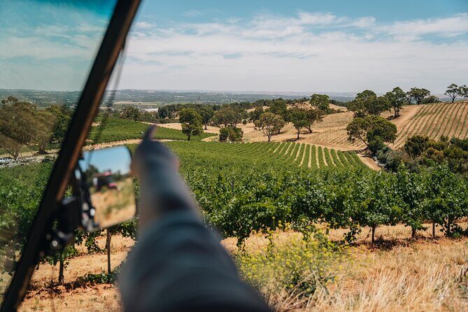 EcoVine Explorer Vineyard E-Cart Tours - Who Is This Tour Best For?