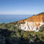 Eden: 2-Hour Highlights Tour, Nature, Beaches and Lookouts - What’s Included & What’s Not