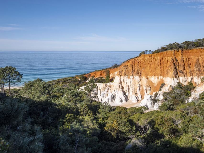 Eden: 2-Hour Highlights Tour, Nature, Beaches and Lookouts - What’s Included & What’s Not