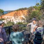 Eden: Panboola Wetlands and Potoroo Palace Tour with Lunch - A Detailed Look at the Tour