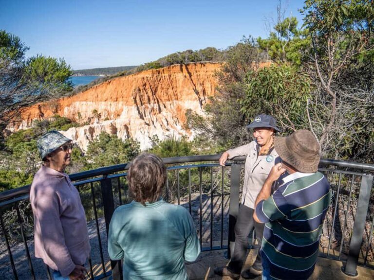 Eden: Panboola Wetlands and Potoroo Palace Tour with Lunch - A Detailed Look at the Tour