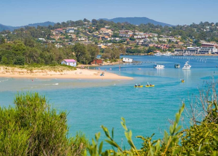 Eden: Sapphire Coast 4 Hour Shore Excursion - Who Will Love This Tour?