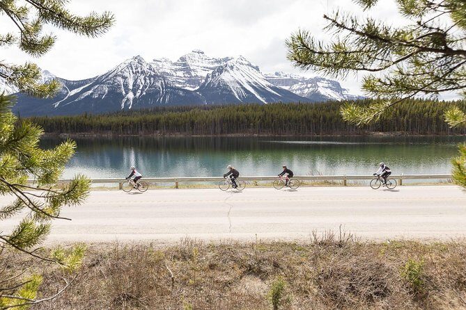 Edmonton Bike Rentals - The Ride and the Highlights