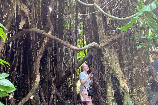Efate Highlights: Village Walk, Coffee Tasting & Beach Chill - In-Depth Breakdown of the Itinerary