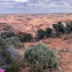 Eggshell Arch Day Tour - Who Should Consider This Tour?