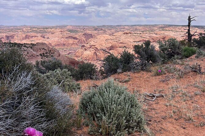 Eggshell Arch Day Tour - Who Should Consider This Tour?