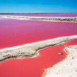 Ek Balam, Rio Lagartos and Las Coloradas Private Tour from Cancun - The Balance of Value and Experience