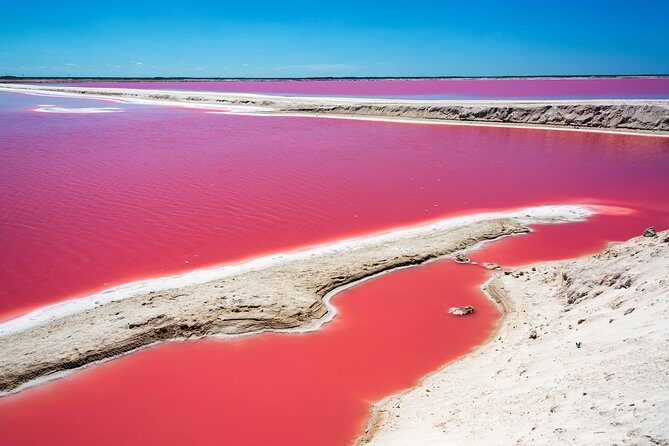 Ek Balam, Rio Lagartos and Las Coloradas Private Tour from Cancun - The Balance of Value and Experience
