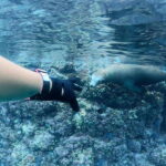 El Cabo: Incredible Private Tour to Espiritu Santo - The Logistics: What to Expect