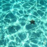 El Cielo and Snorkeling for Cruise Ship Passengers - Reviewing the Experience Based on Feedback