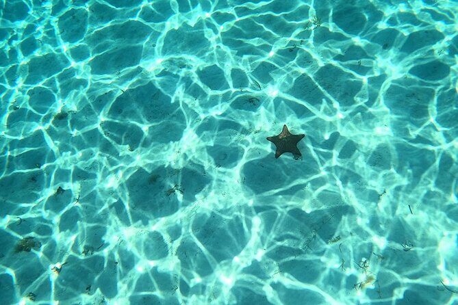 El Cielo and Snorkeling for Cruise Ship Passengers - Reviewing the Experience Based on Feedback