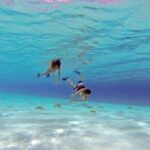 El Cielo Cozumel, a paradisiacal tour. Be amazed by the stars near to you. - The Itinerary: A Closer Look