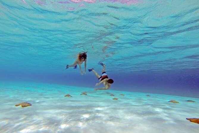 El Cielo Cozumel, a paradisiacal tour. Be amazed by the stars near to you. - The Itinerary: A Closer Look
