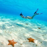 El Cielo Cozumel private snorkel tour - A Detailed Breakdown of the Itinerary and Highlights