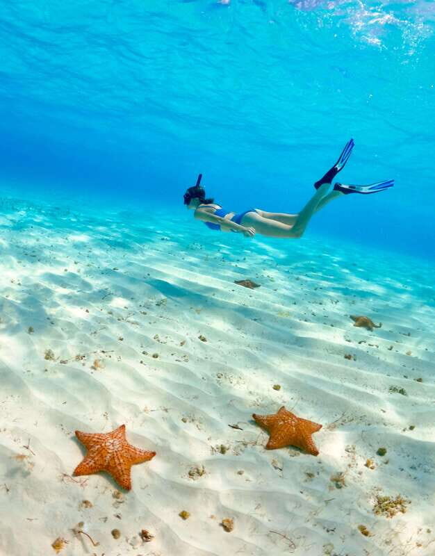 El Cielo Cozumel private snorkel tour - A Detailed Breakdown of the Itinerary and Highlights