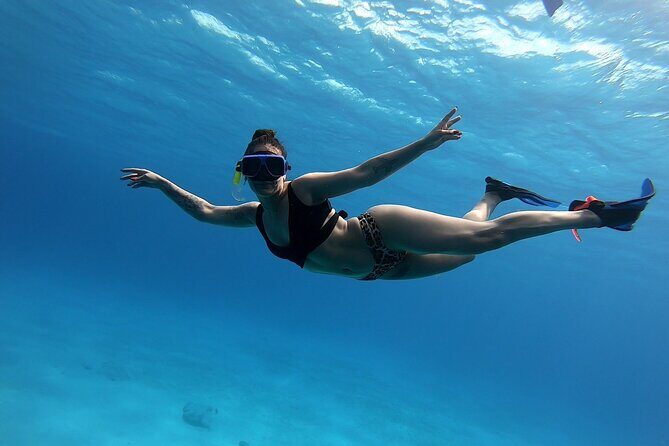 El Cielo Cozumel Snorkeling by Private Boat - The Itinerary in Detail