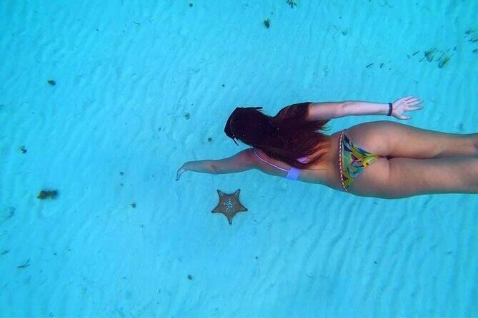 El Cielo Cozumel Snorkeling trip by Catamaran - Real-World Feedback: What Travelers Say