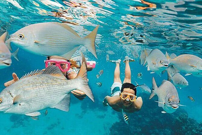 El Cielo Palancar and Columbia Snorkeling Tour - Practical Aspects and What to Expect