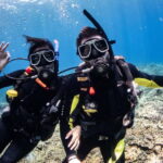 El Nido: Deep Blue Dive Seafari Experience - Evaluating the Value for Money