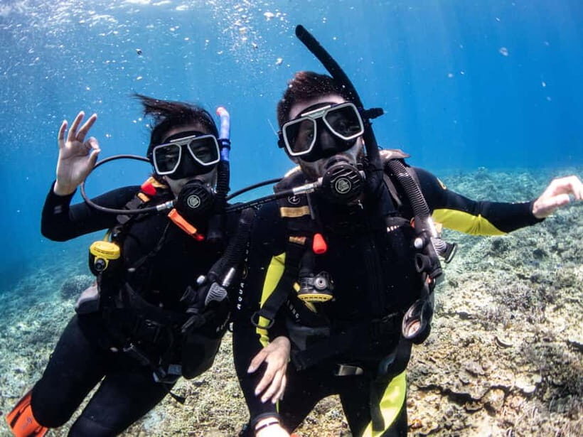El Nido: Deep Blue Dive Seafari Experience - Evaluating the Value for Money