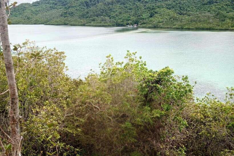El Nido: Tour B with Snake Island, Cudugnon Cave, and More - The Day in Detail: What You Can Expect