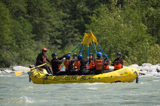 Elaho Whitewater Experience - What Makes This Tour Stand Out?
